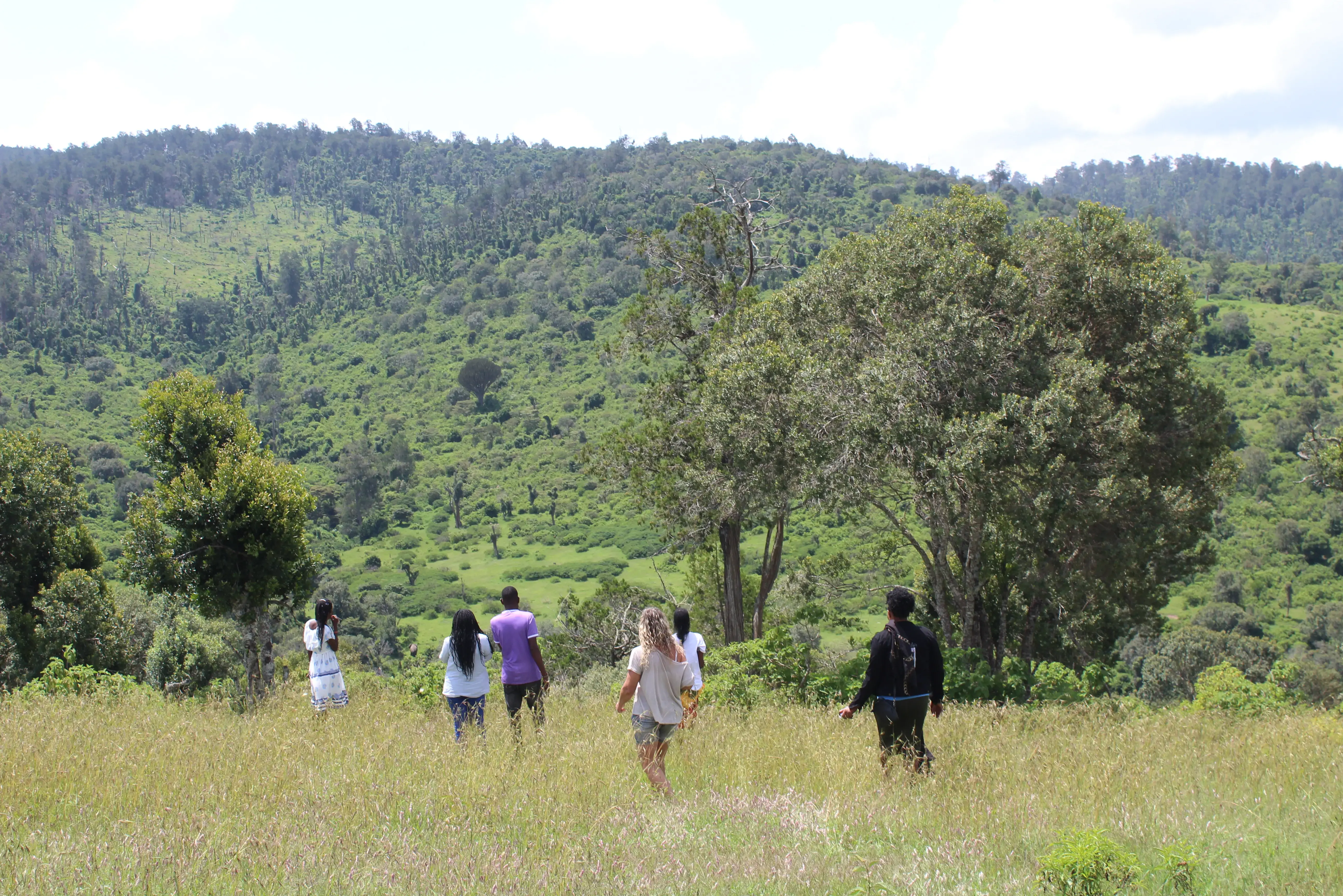 News / Events | AFR100